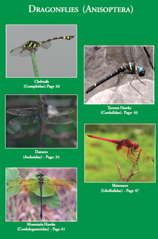 Nature Magnified: Dragonflies of India- A Field Guide – Free ebook Download